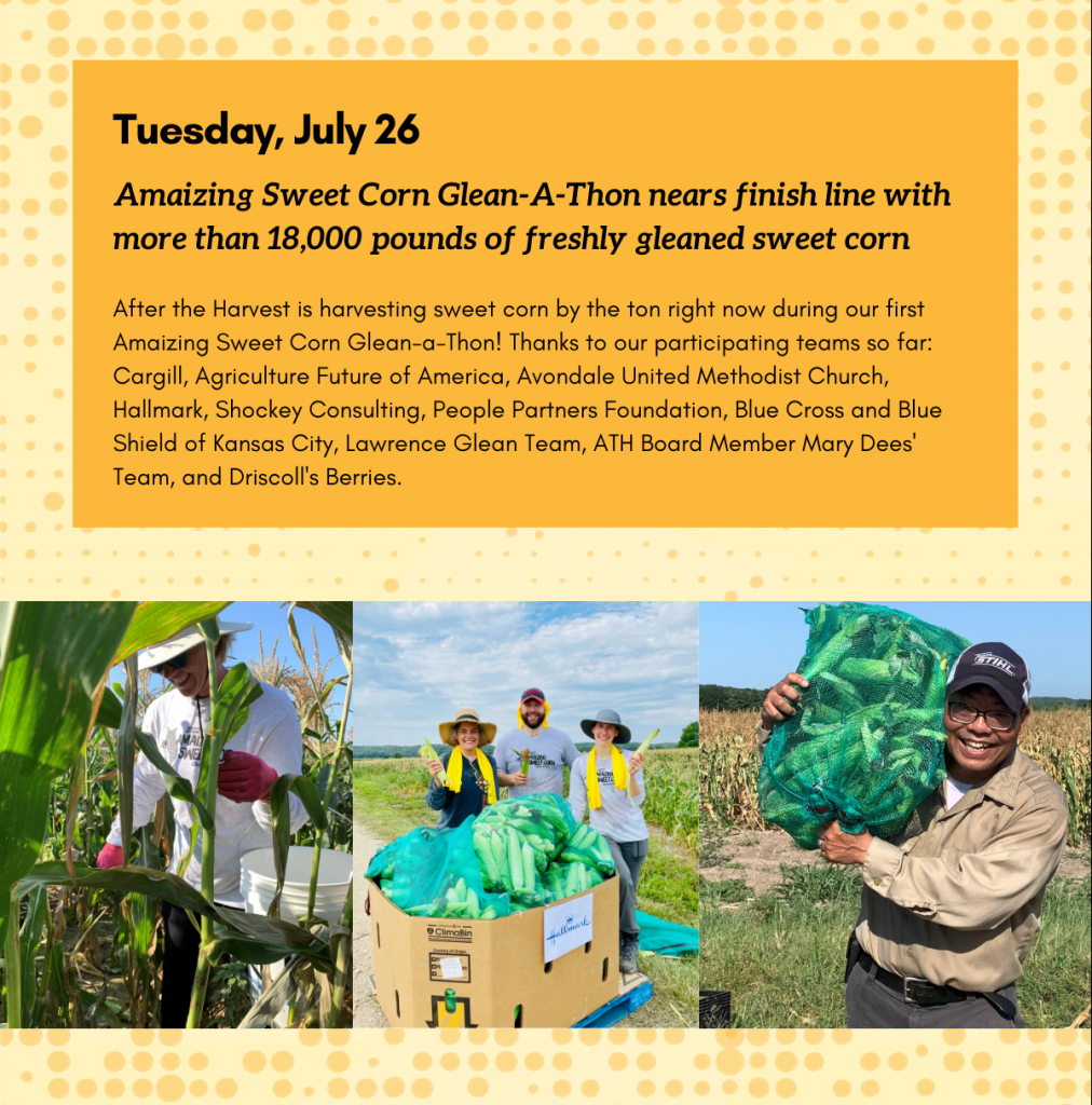 2022 Amaizing Sweet Corn Glean-a-Thon: Progress Update! Aug 8, 2022 ...